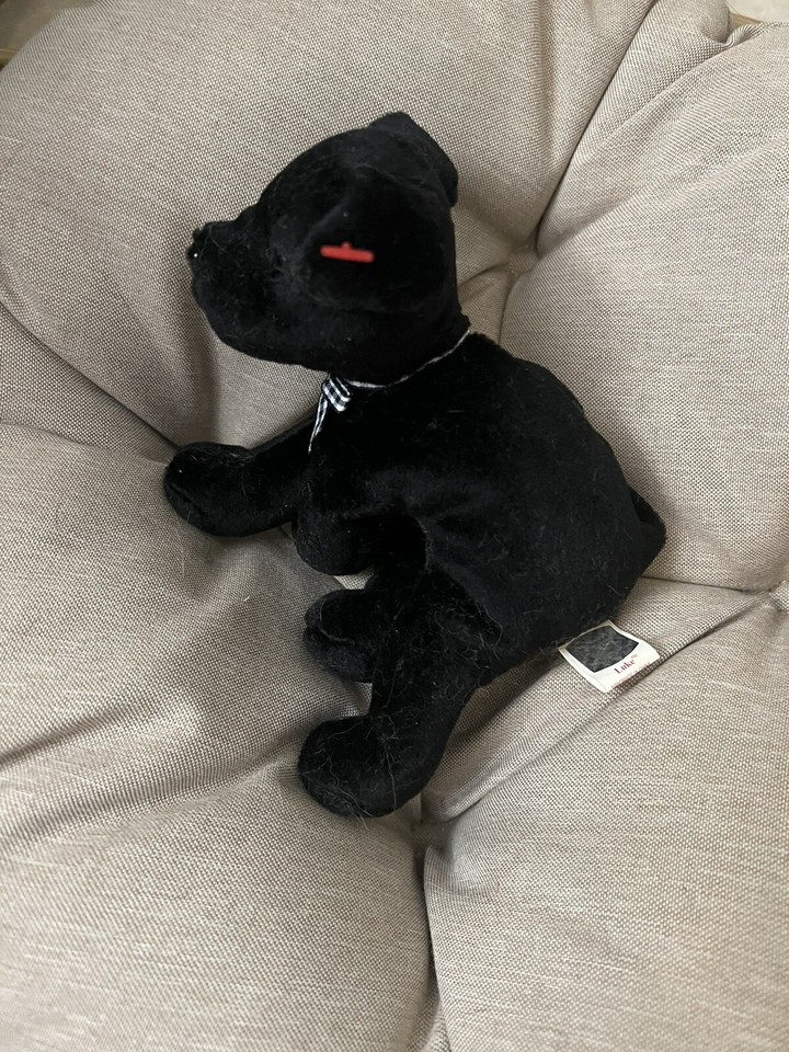 Luke " The Black Labrador " Ty Original Beanie Baby 1999 * Rare / New w ...