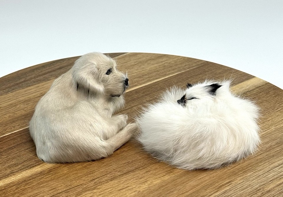 Vtg Real Fur Lab Dog & Persian Cat Figure Realistic Looking Goat And ...