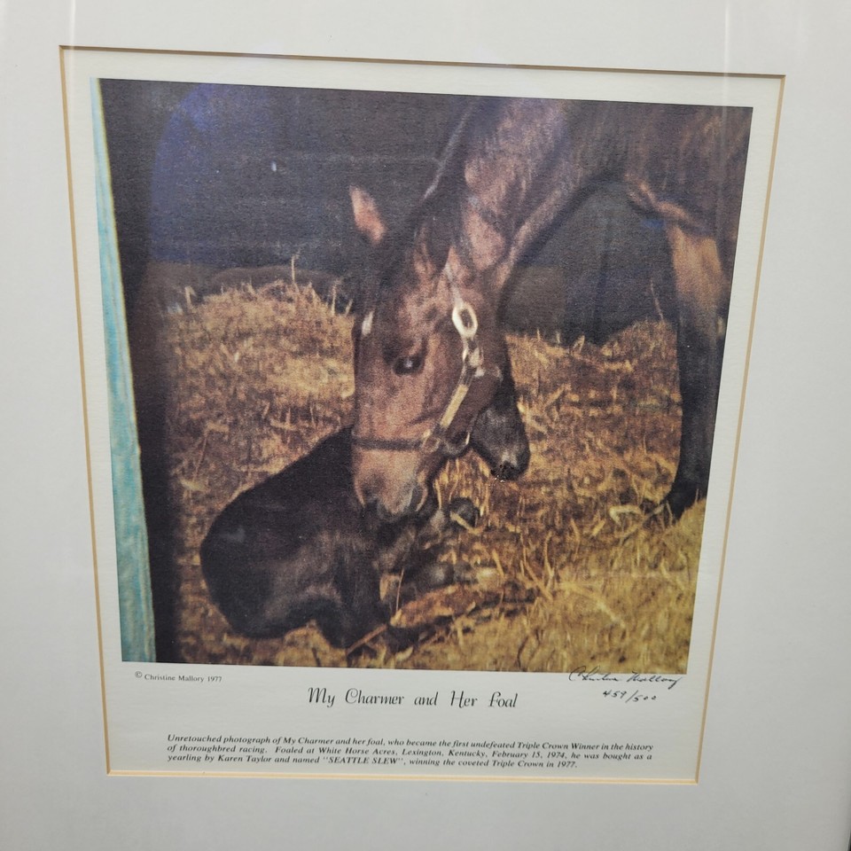 "Born To Win" Framed Print 382/500 Seattle Slew Christine Mallory ...