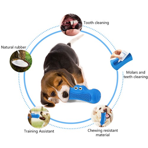 Chew Toys Pet Accessories Indestructible Kong Natural Rubber Teeth ...