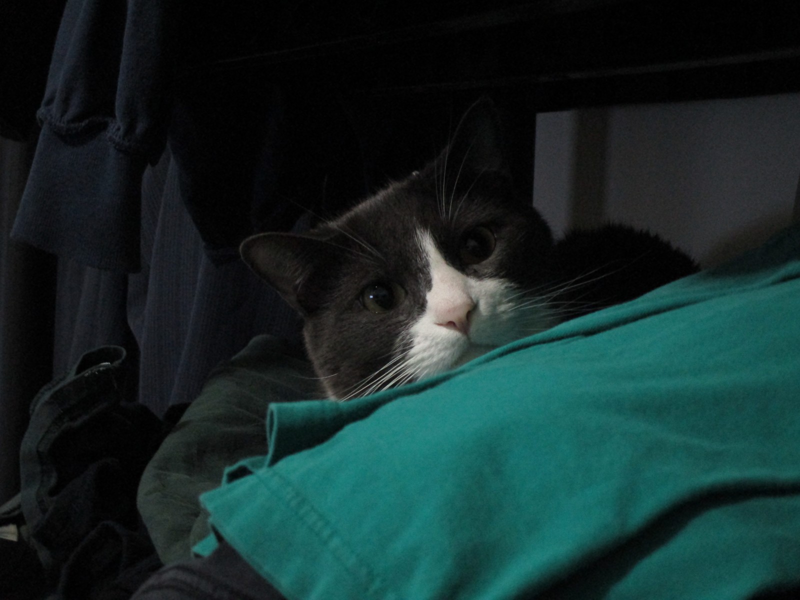 Lord Q Surplus Store | eBay Stores