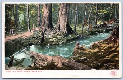 Postcard MI Roaring Brook Michigan The Brook Stream Harbor Springs MI07 ...