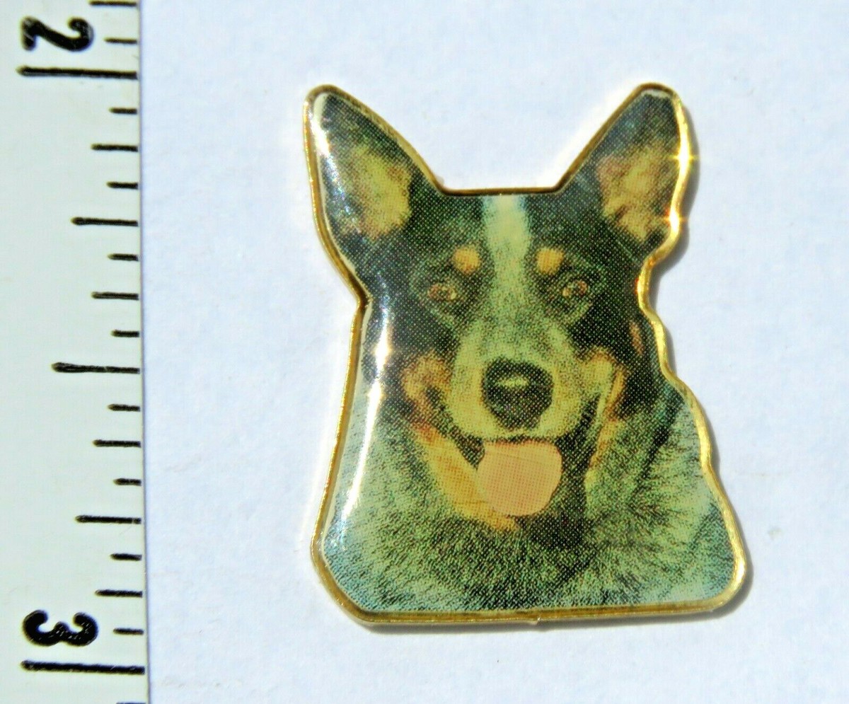 Pin Australian Cattle Dog