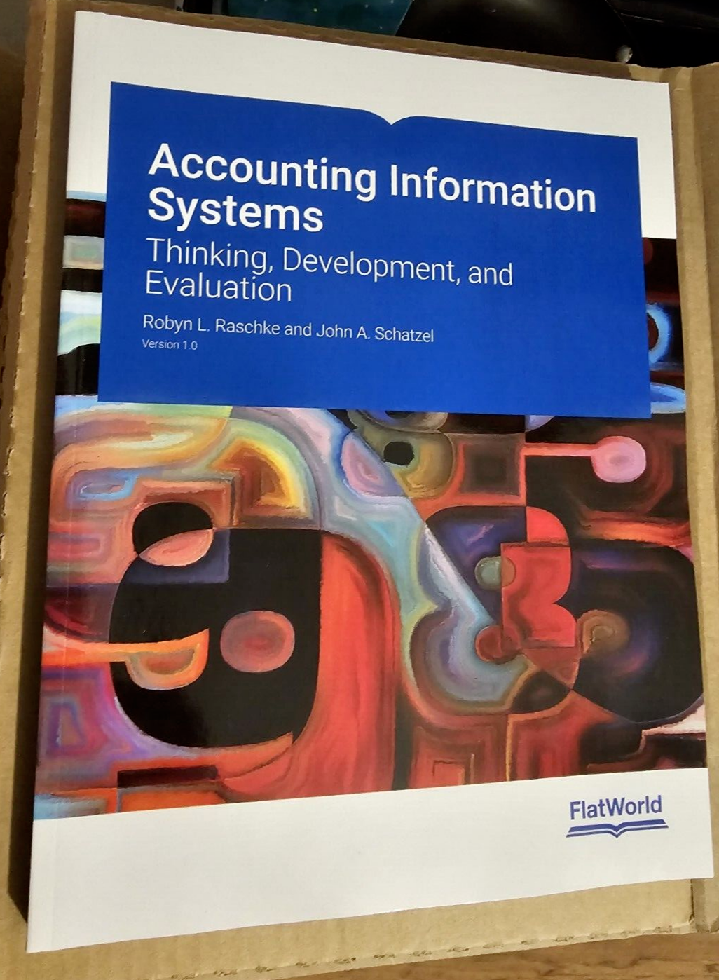 Accounting Information Systems: Thinking, Development, and Evaluation | eBay
