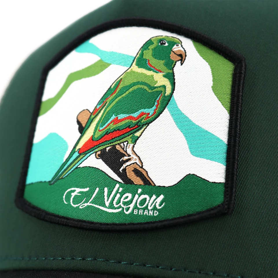El Viejon Perico Curve Green Black - Hats Cap - Perico Curve Green Blk ...