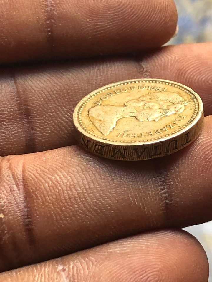 1983 One Pound coin error upside down rim Queen Elizabeth II rare | eBay