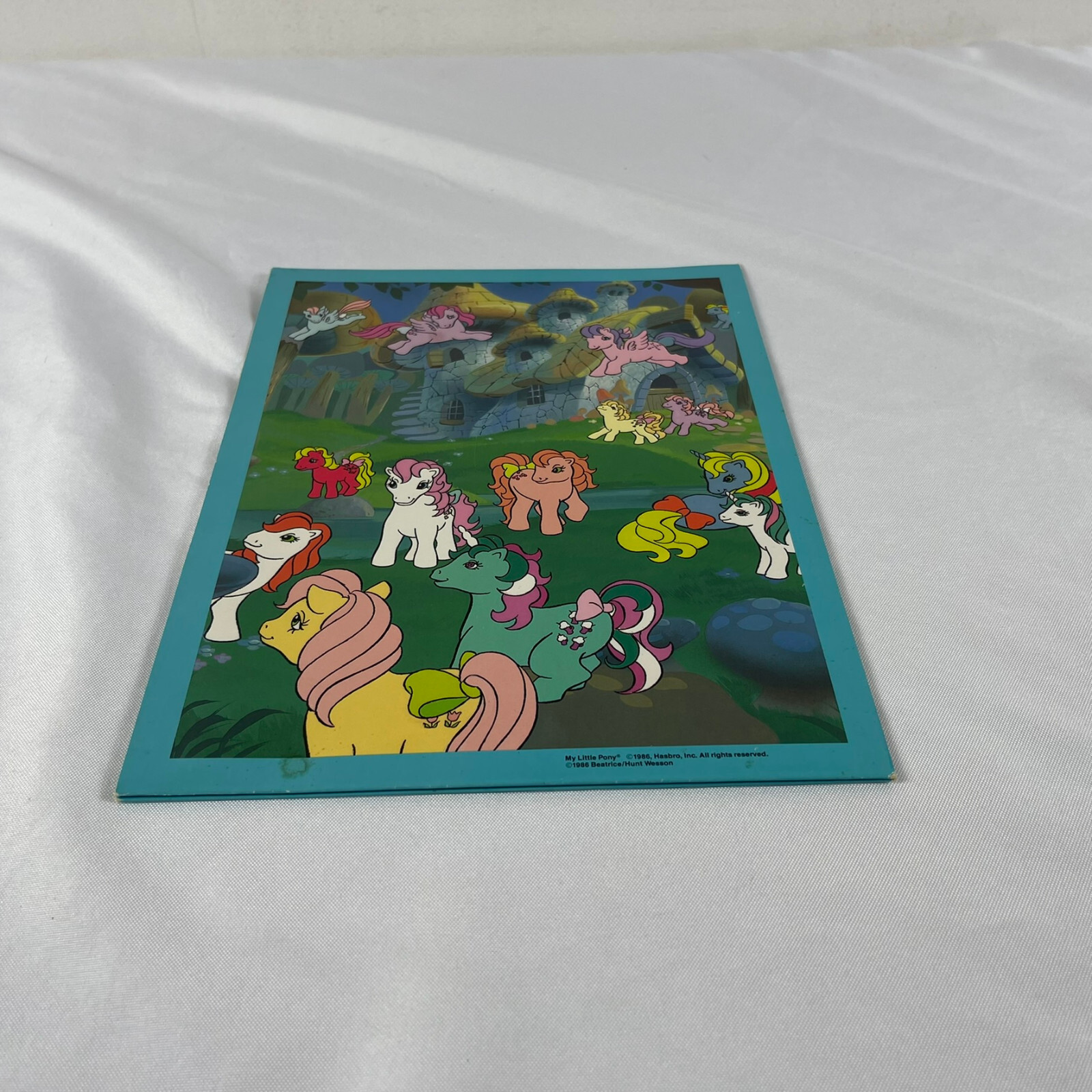 Vintage G1 My Little Pony Merchandise Folder Unused Aqua | eBay