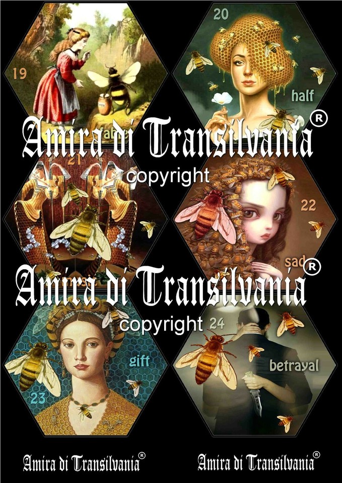 tarot card cards deck honey bee oracle guide book maior minor arcana ...