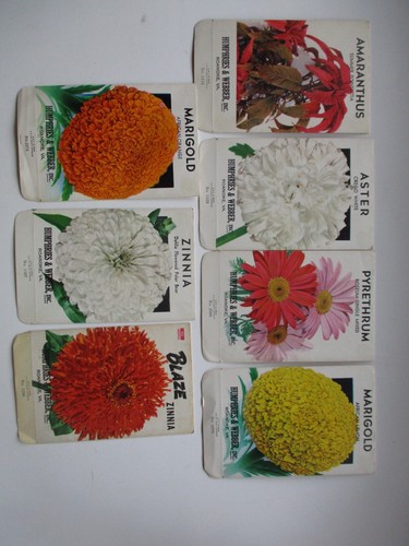 Lot of 7 Antique HUMPHRIES & WEBBER Flower Seed Packet Envelopes New ...