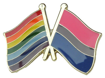 Rainbow & Bisexual Flag Pin Badge LGBT Friendship Pride Brooch Gay | eBay