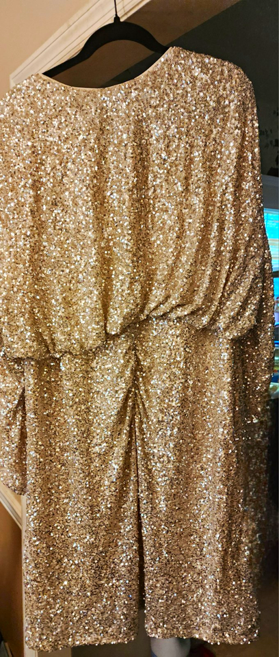 Champagne Sequin Shift Dress Women's Plus 4XL Round Neck Long Sleeve ...
