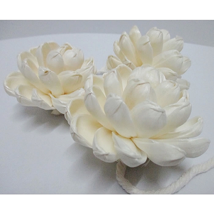 8 Cm. Magnolia Lotus Dried Flower Handmade Reed Diffuser Fragrance ...