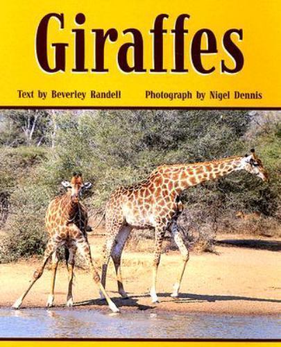 Rigby PM Benchmark Collection: Level 23 Ser.: Giraffes by Beverly ...