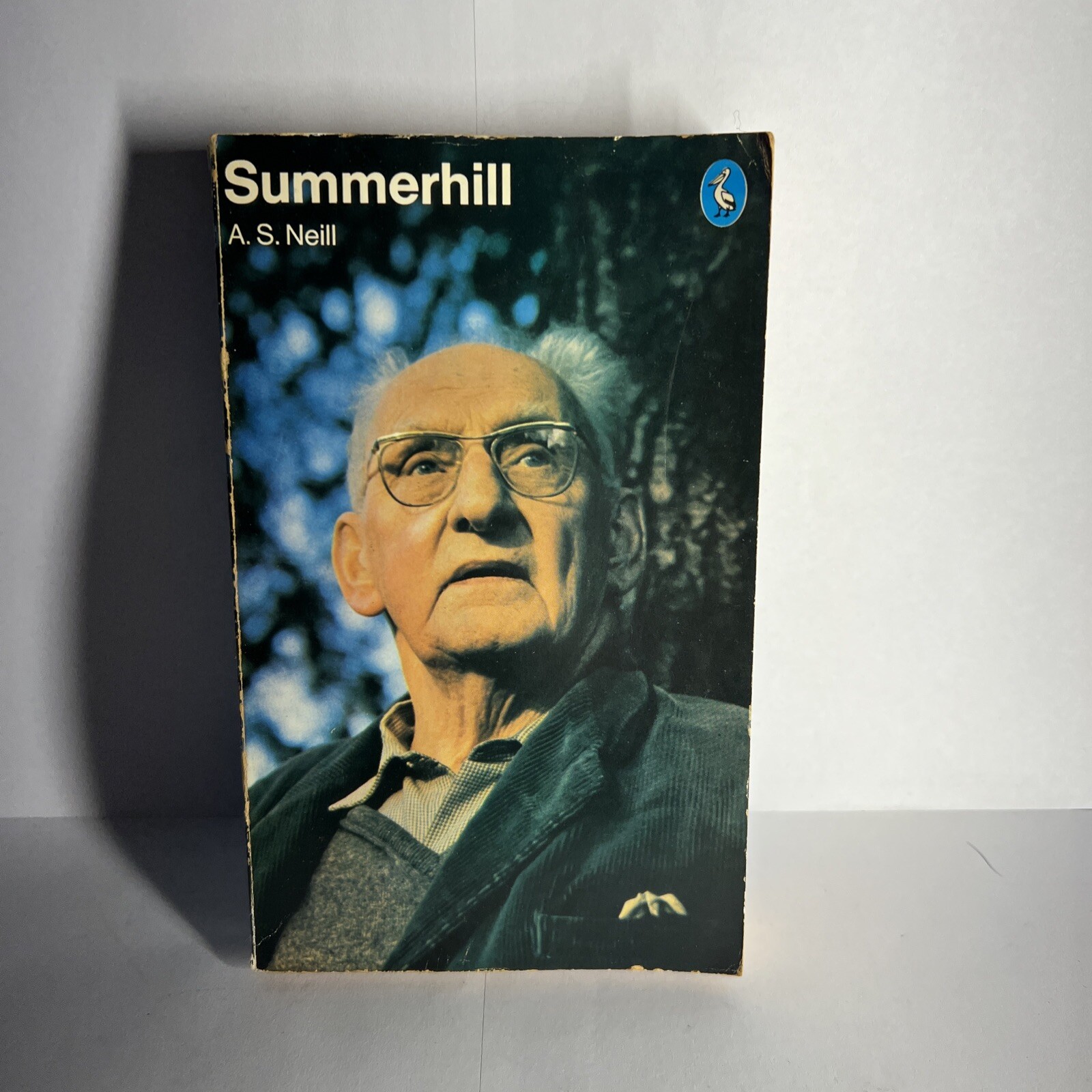 The New Summerhill by A.S. Neill (Paperback, 1992) for sale online | eBay