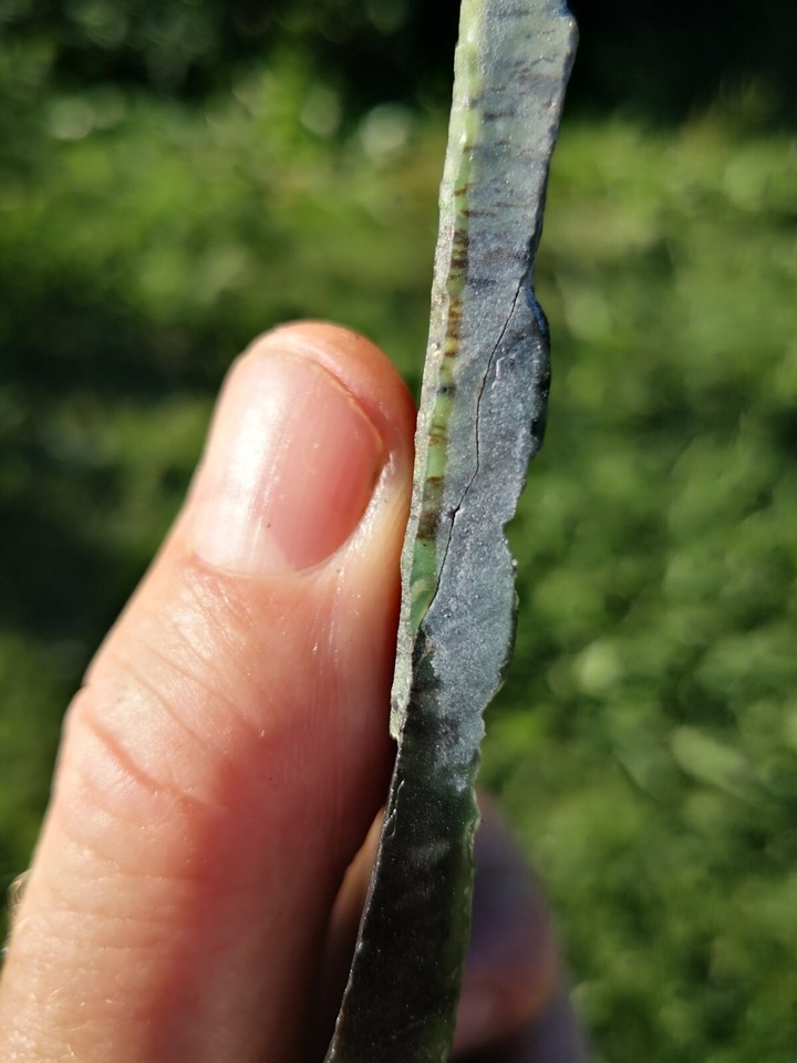 Greenstone Pounamu Natural NZ Nelson Nephrite Jade Kokopu Slab lapidary ...