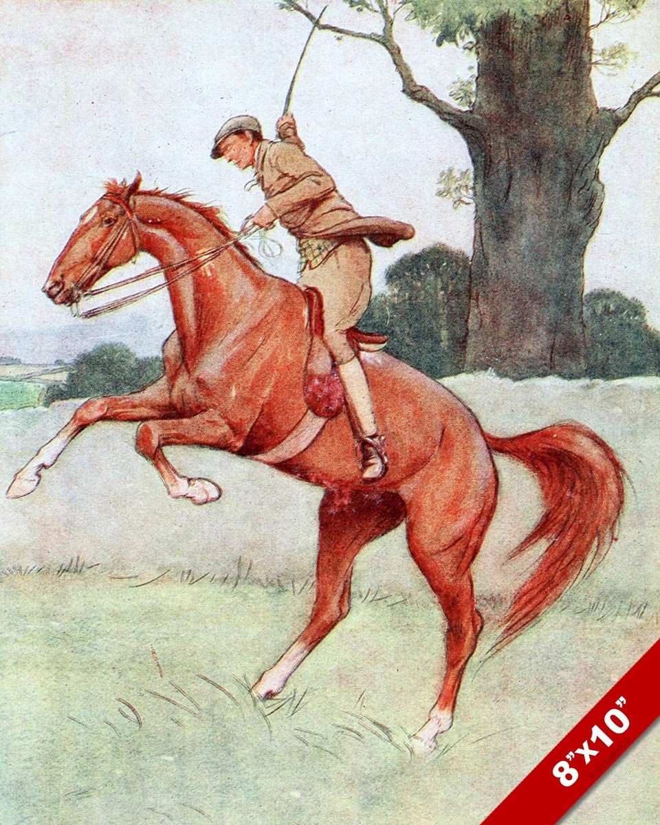 Horse And Rider Drawings