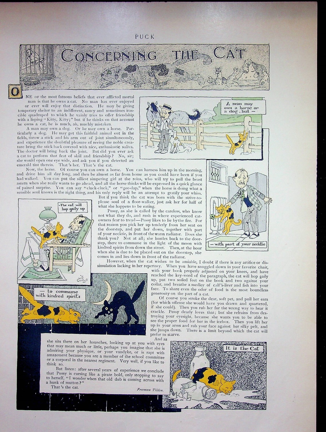 Freeman Tilden Illustrated Puck Magazine PRINT ONLY 1909 Concerning The ...