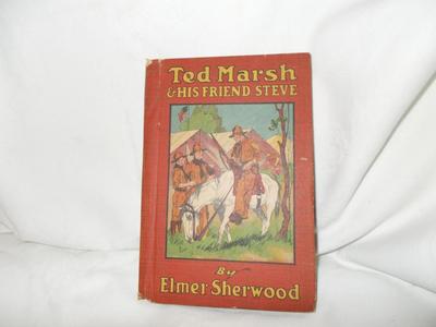 1922 Ted Marsh & His Friend Steve by Elmer Sherwood Hardcover Book ...