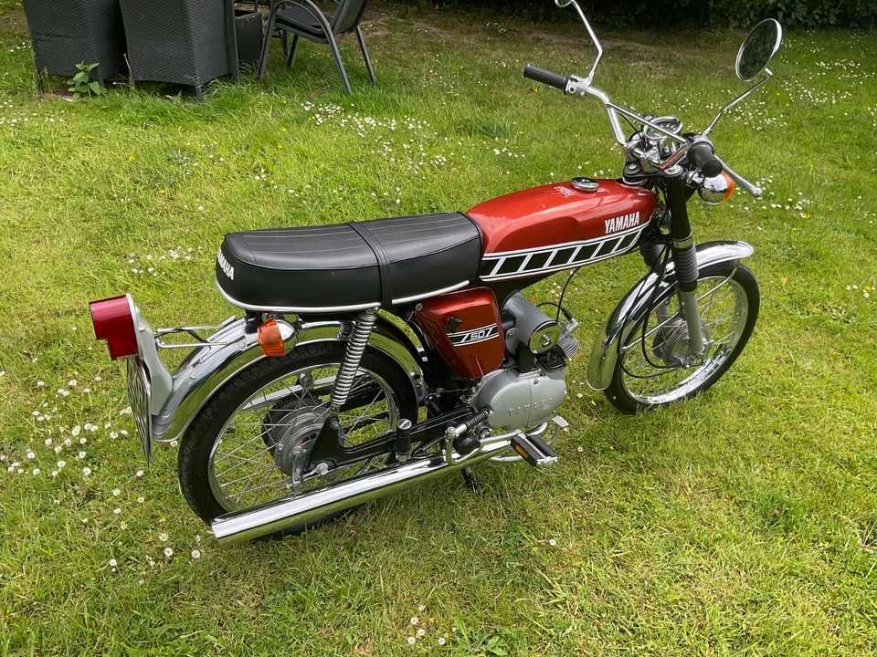 Fs1e. 1976 badger brown | eBay UK