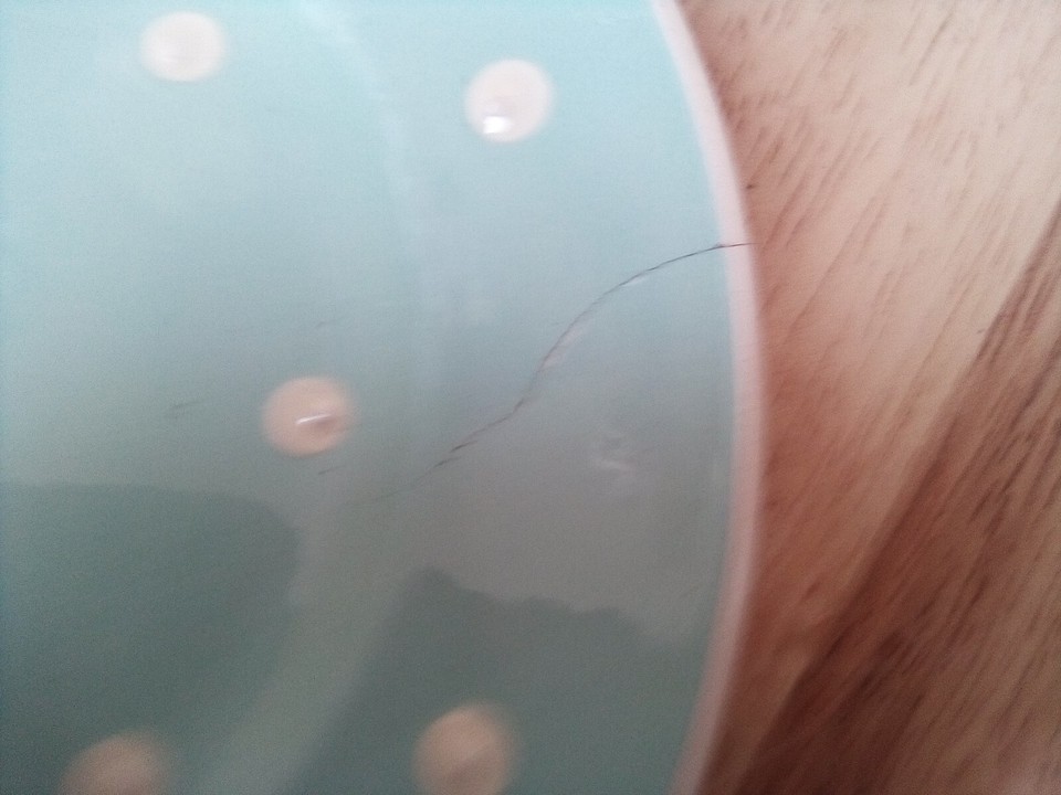 Sandygate Pottery Torquay Devon White spot on pale blue trio CUP ...