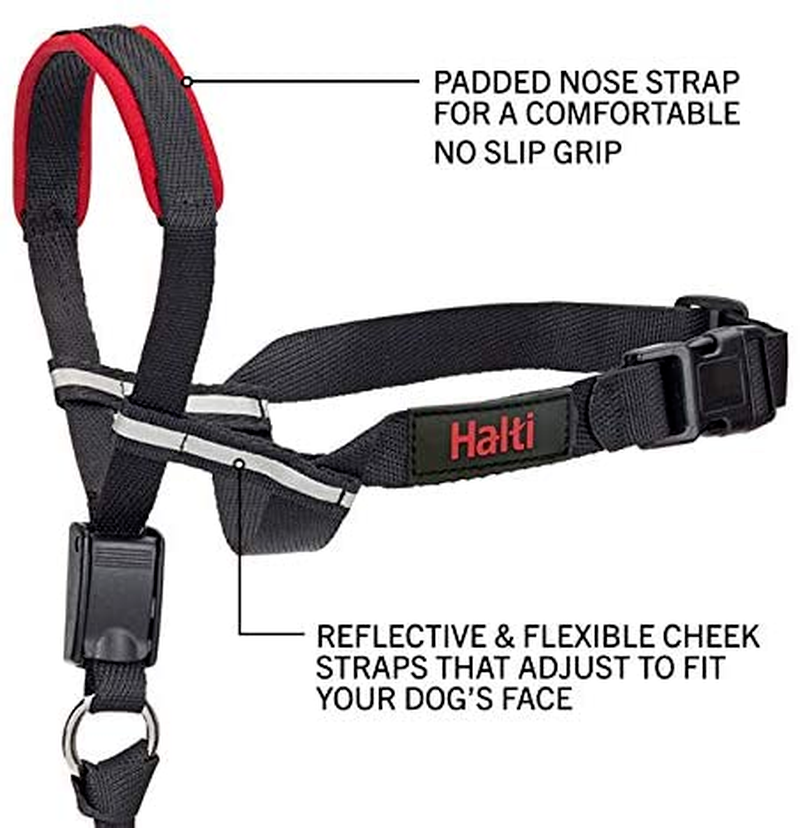 Halti Optifit Headcollar and Training Lead Combination Pack, Stop Dog ...