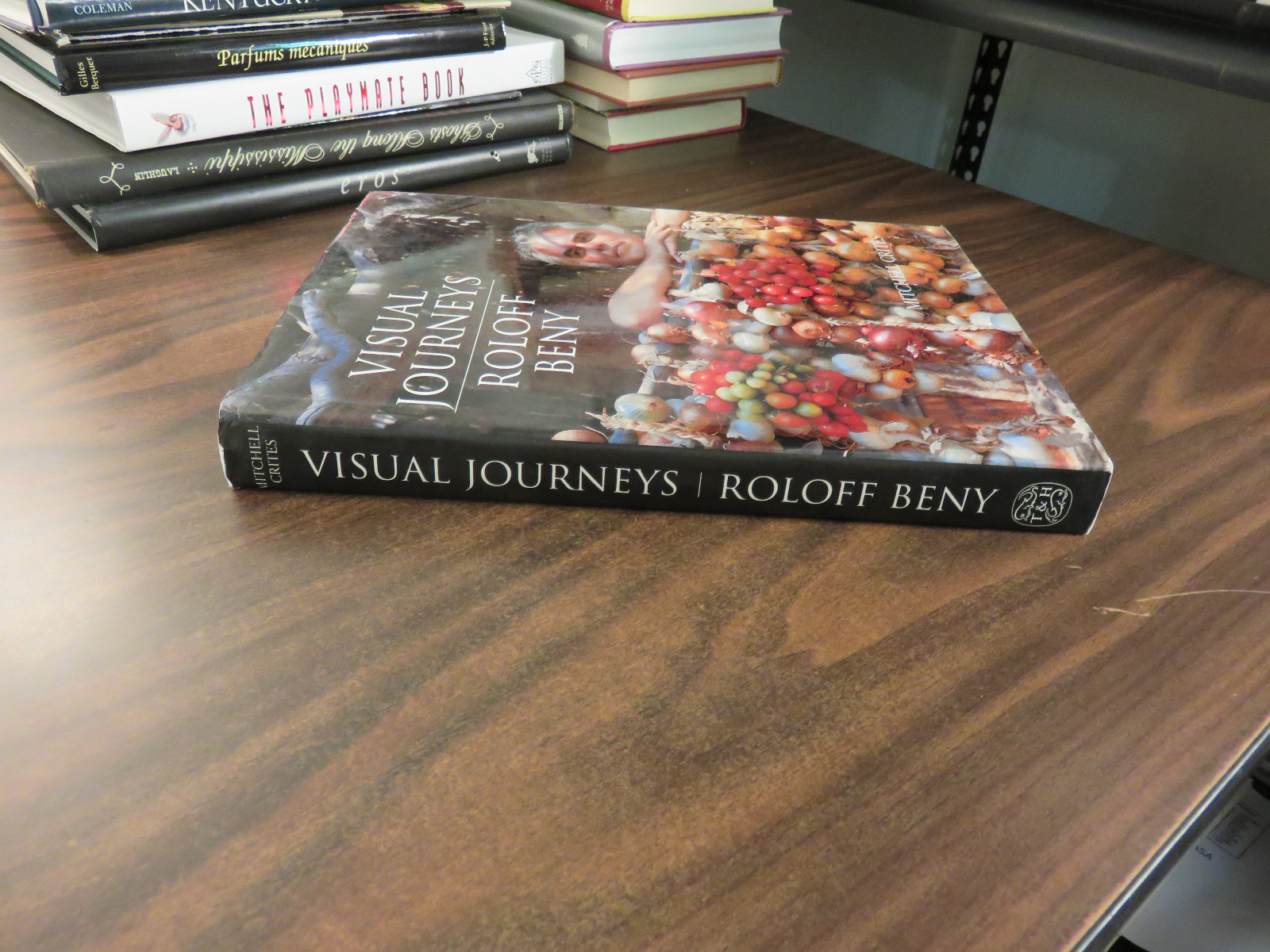 Visual Journeys Roloff Beny Mitchell Crites HC 1994 FREE SHIP | eBay