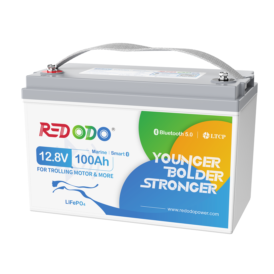 Redodo 12V 100Ah 200Ah LiFePO4 Lithium Battery with BMS for RV Trolling ...