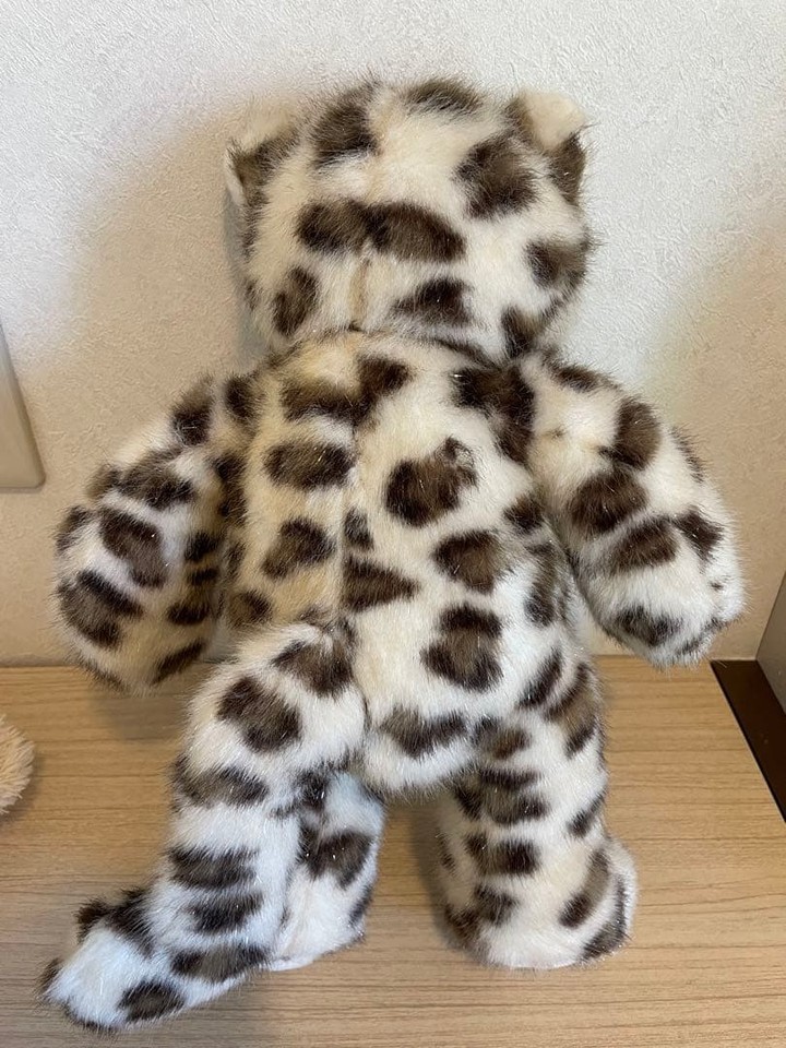 Build-A-Bear Leopard Cat | eBay UK