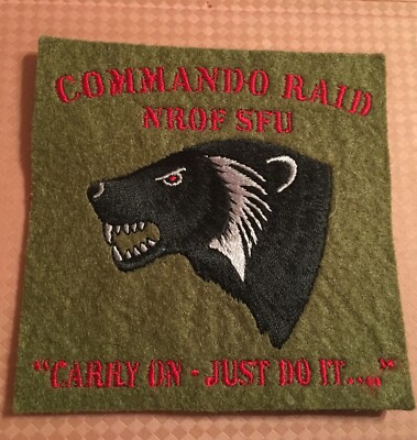 NORWAY ARMY PATCHES - PANSERBATTALJONEN COMMANDO RAID PATCH | eBay