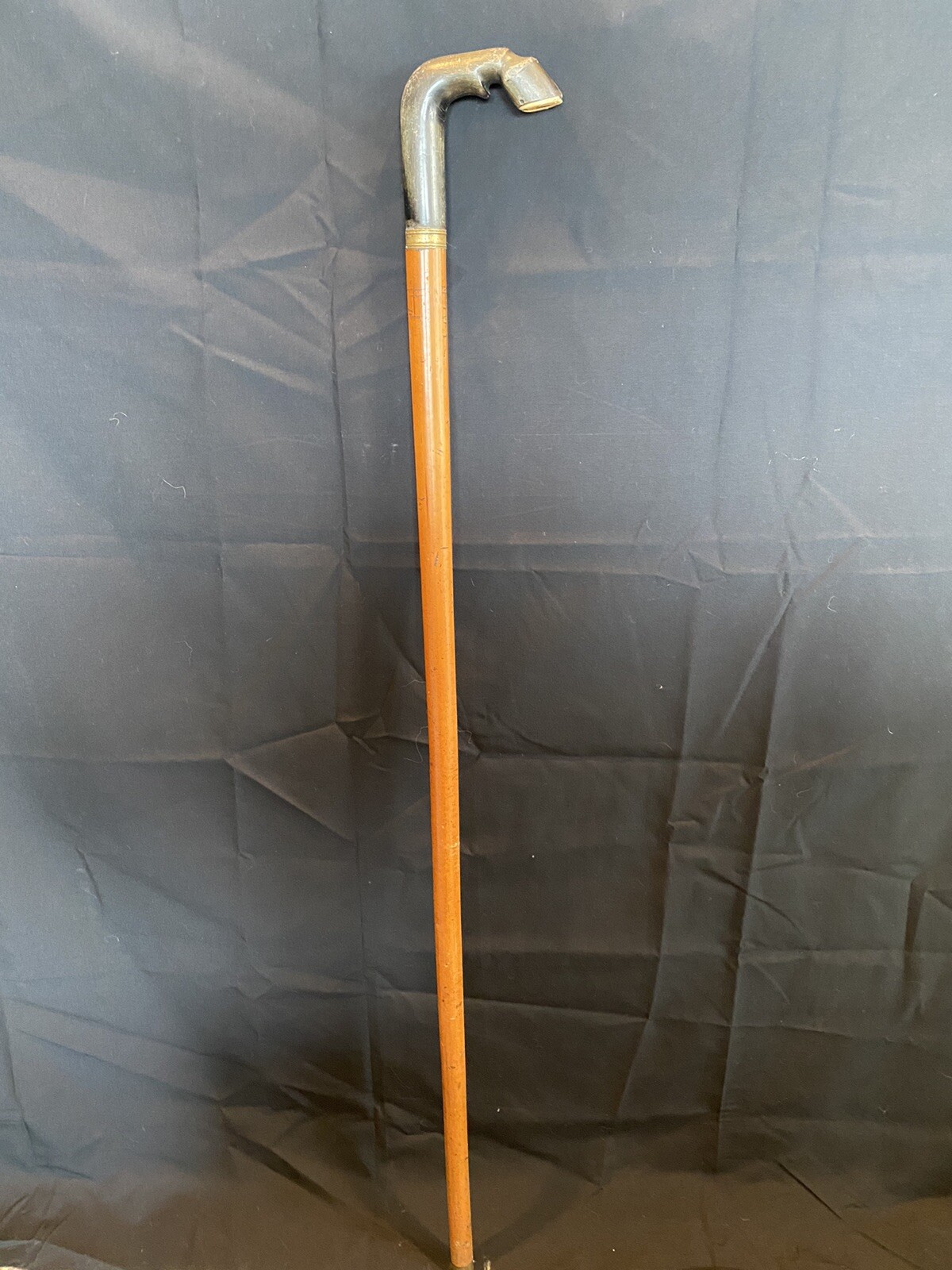 Antique Horse Leg Walking Cane - Gem