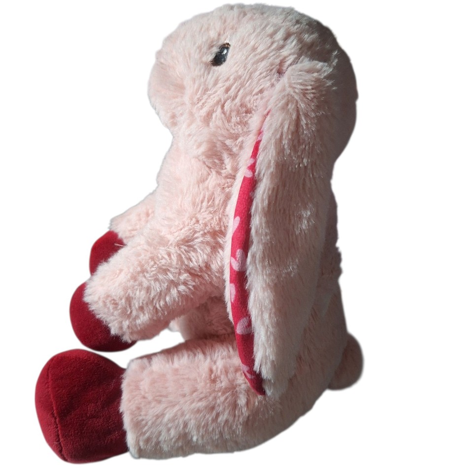 Easter Cuddle & Calm Huggable Weighted Bunny Rabbit Tiny Love & Carry ...