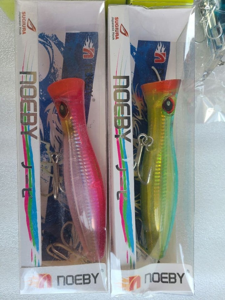 Top Hopper, Amberjack, Japanese amberjack, Yellowtail, Blue-runner ...