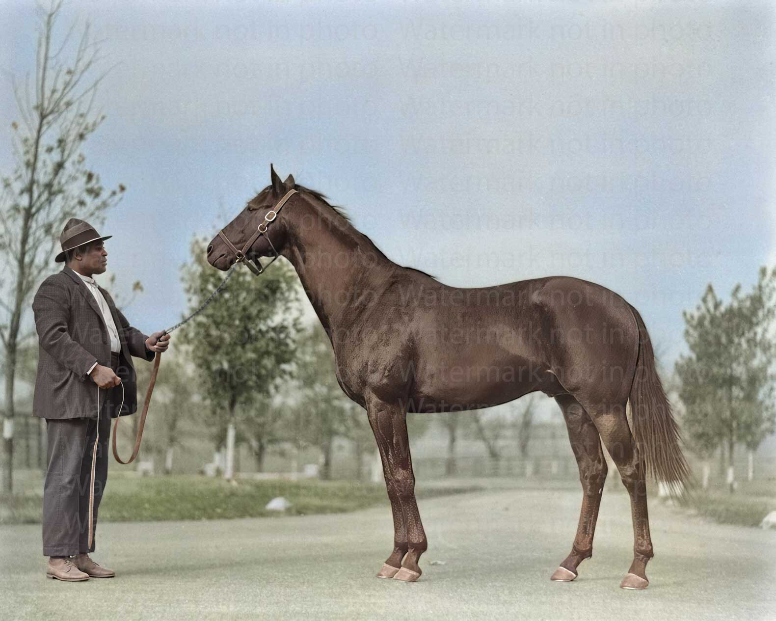 Man O War Horse Racing 8x10 RARE COLOR Photo 600 REMASTERED | eBay