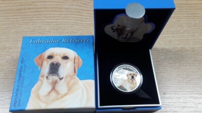 NIUE 2014 MAN'S BEST FRIENDS LABEADOR RETRIEVER COLORIZED SILVER COIN ...