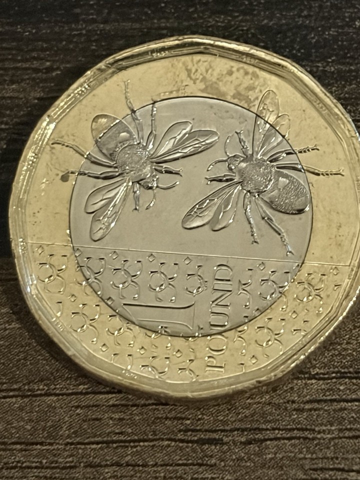 Rate 1 Pound Coin. Bees with Error. Circulated. | eBay UK