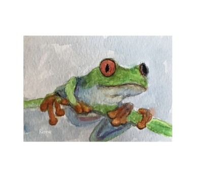 ACEO HP Gouache Painting Red Eyed Tree Frog Original By Kenna 2.5” X 3. ...