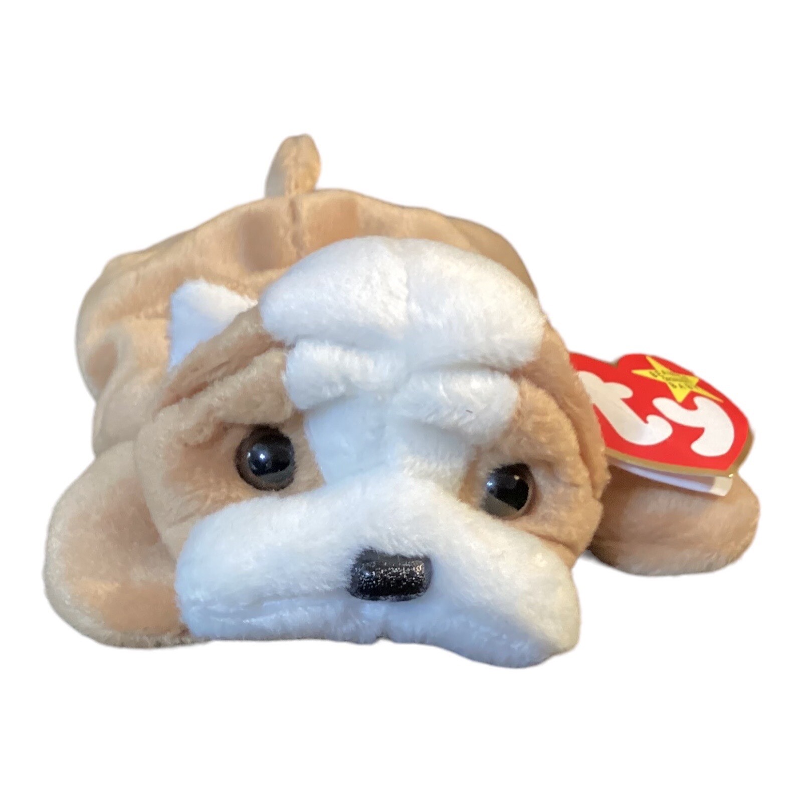 FS, Ty Beanie Babies, Wrinkles Bulldog, 1996 *RARE, ERRORS* (Dog ...