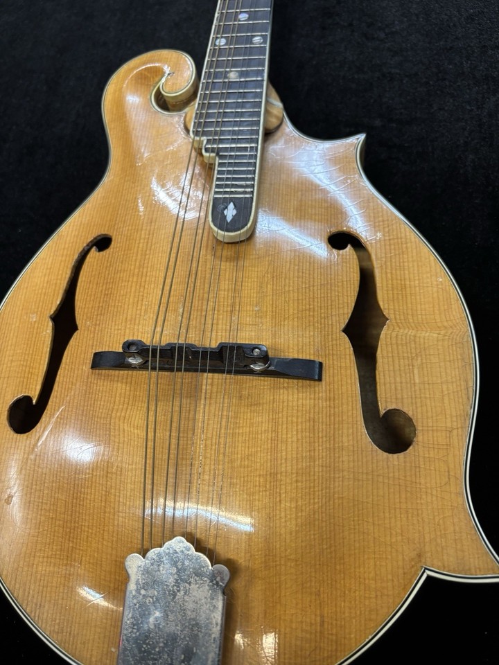 1979 Custom Built James F Style Mandolin, Luthier Special/Project Or ...