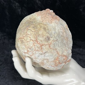 Kentucky Rock Shop Geodes & Agates | eBay Stores