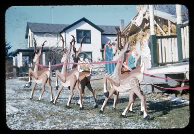 Christmas Decorations Reindeer 35mm Slide 1950s Red Border Kodachrome ...