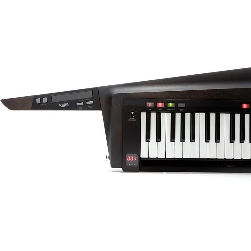 Korg RK-100S 2 BK Black Keytar Synthesizer Shoulder Keyboard 37-Key ...