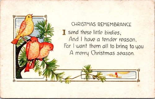Christmas Singing Bird Sitting in Pine Tree Embossed c1920s postcard ...