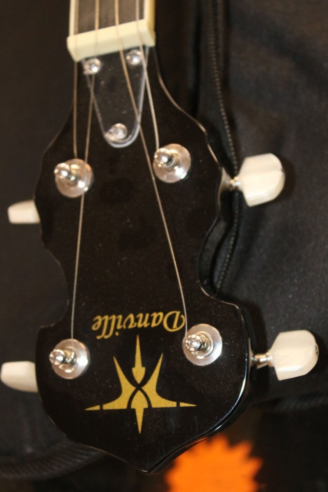 Danville Banjo acoustic banjo with softcase | eBay