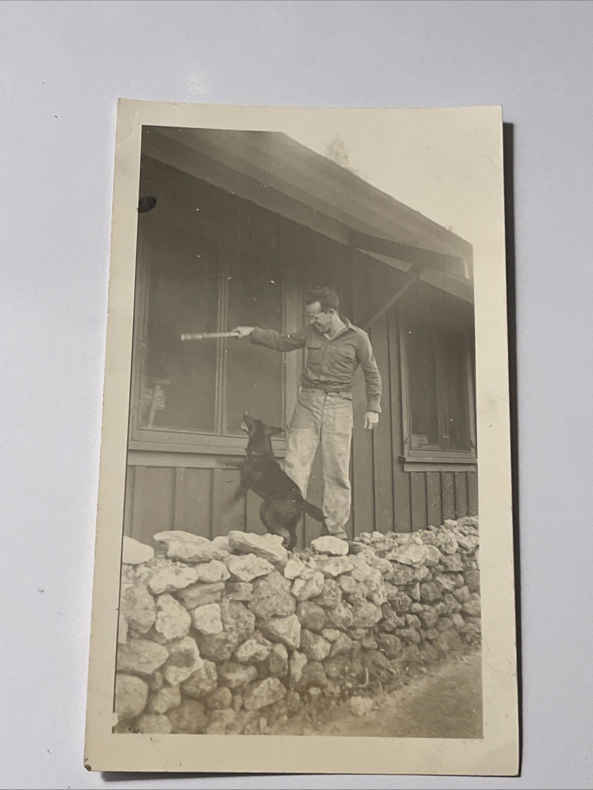 Vintage Photo Military WW2 Soldier In Uniform Playing Fetch With Pet ...