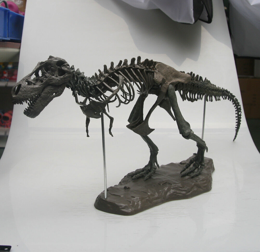 Animal Model T Rex Tyrannosaurus Rex Skeleton Dinosaur Toy Collector ...