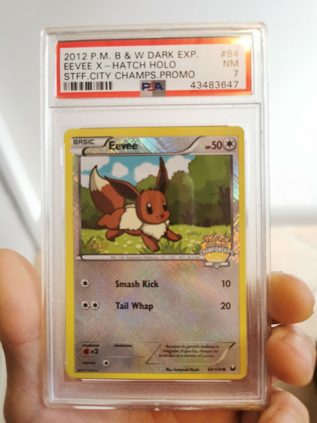 2012 B&W dark explorers Pokemon Eve Staff City Champships Promo Psa 7 ...