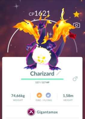 Pokémon go - Shiny Gigantamax Charizard - trade 20k dust | eBay