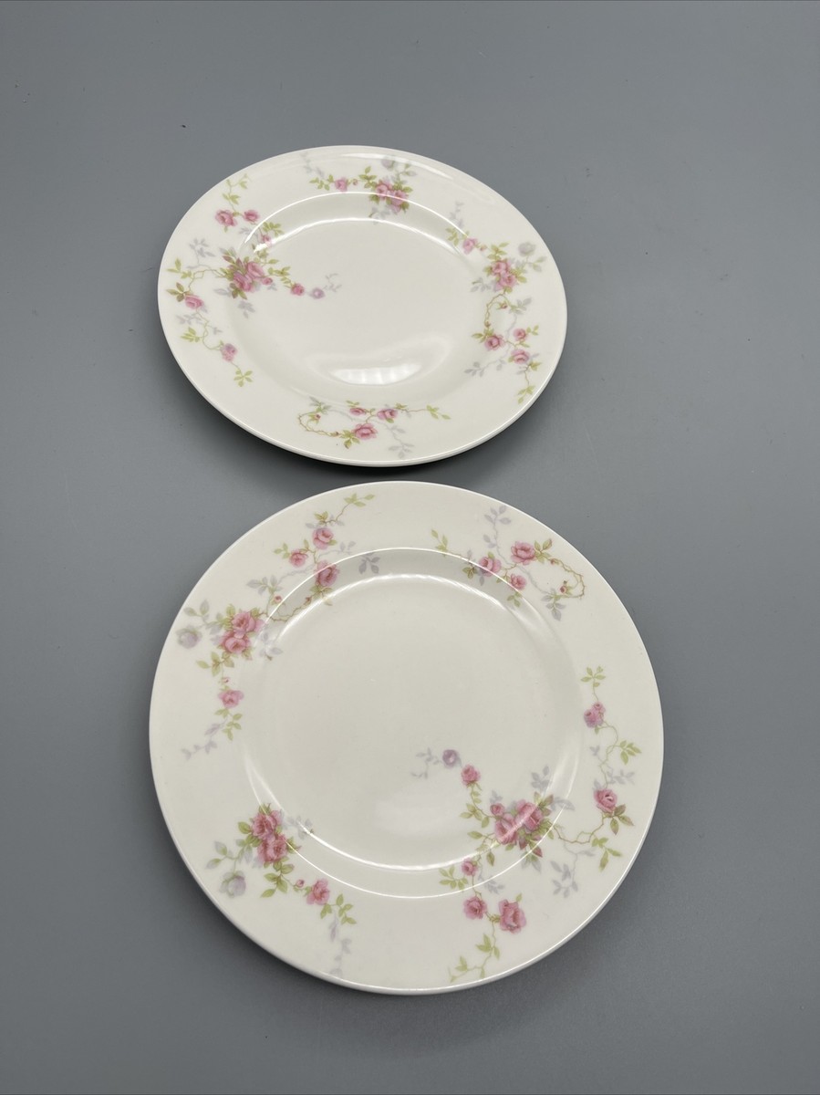 Antique Haviland Schleiger Theodore Haviland Limoges France China ...