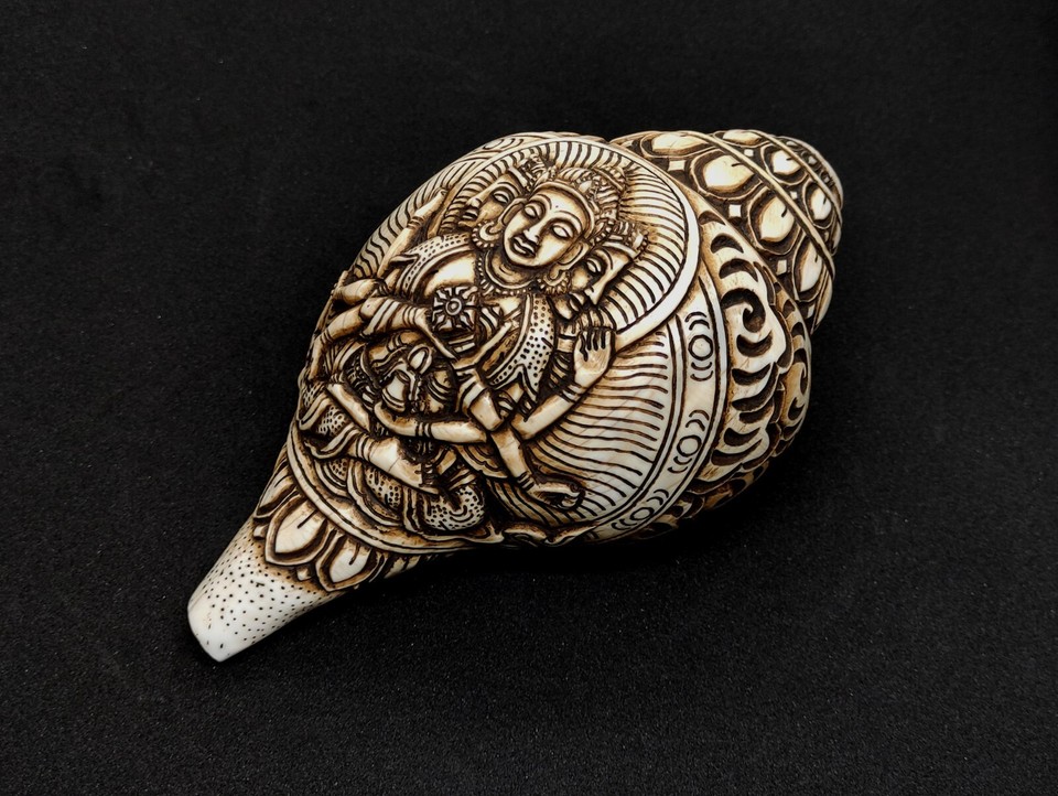Hand carved Basundhara conch Shell Ritual conch Vasudhara priest ...