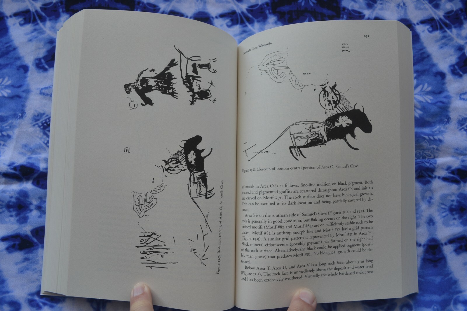 The Rock-Art of Eastern North America : Capturing Images and Insight by ...